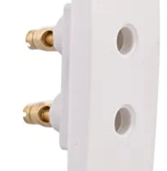 Versatile DP Two-Pin Modular Socket: Simplify Connections